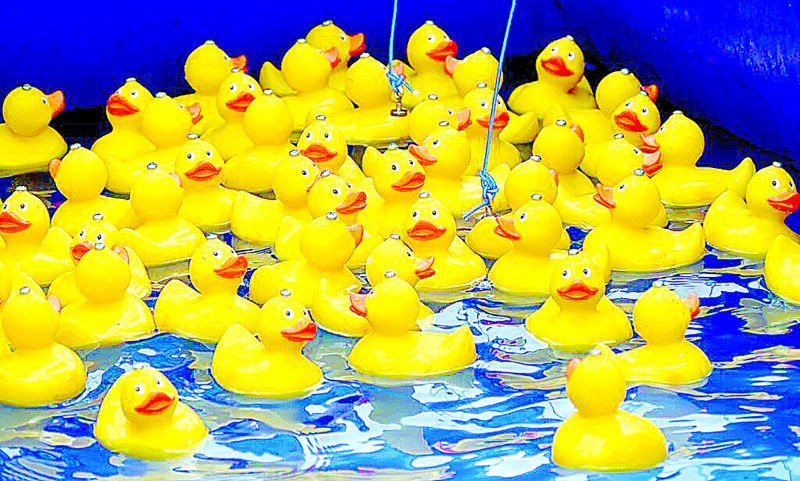Inaugural duck derby set for Saturday | News, Sports, Jobs - The Sentinel